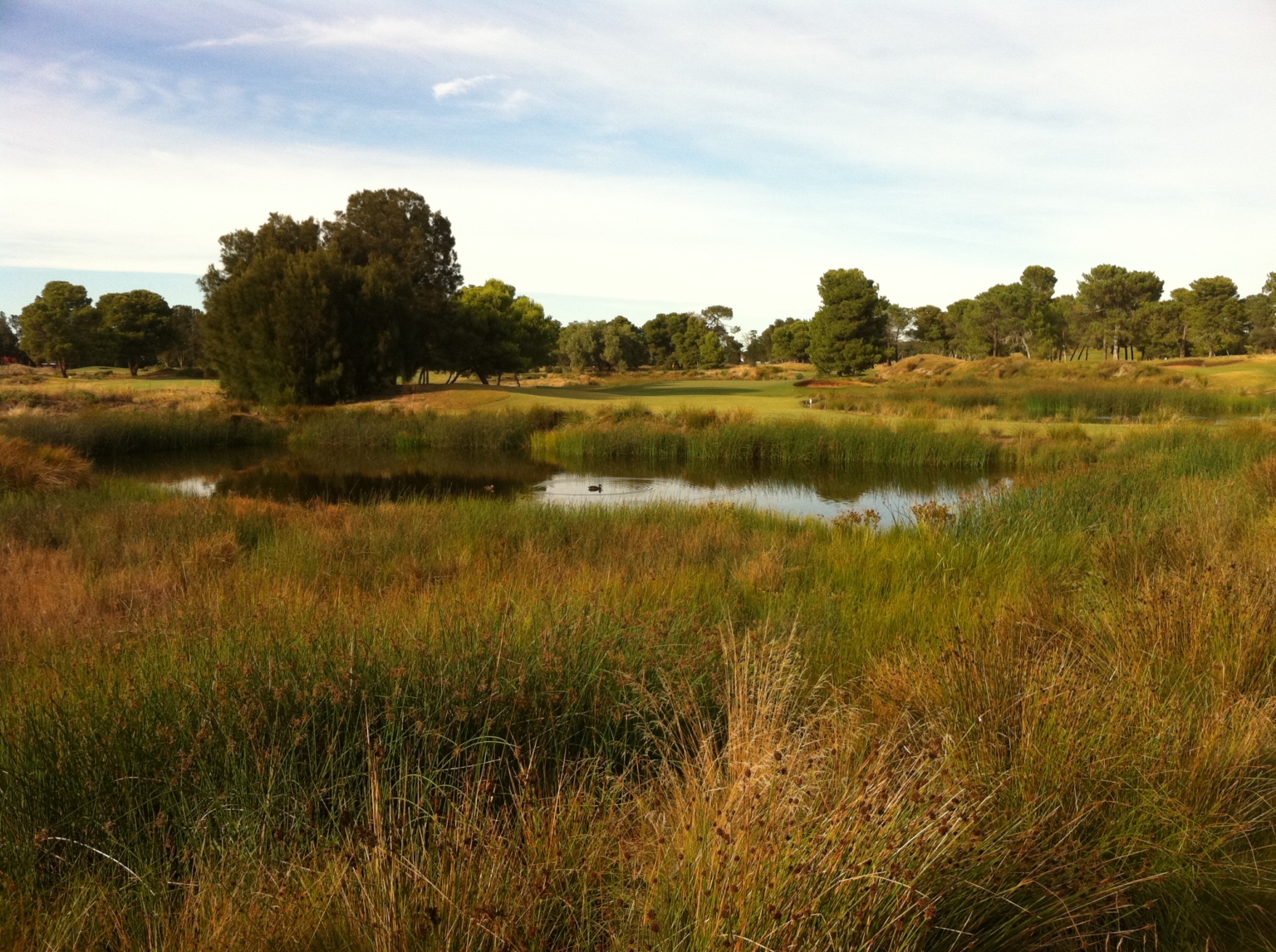 Glenelg Golf Course Wetland - FMG Engineering